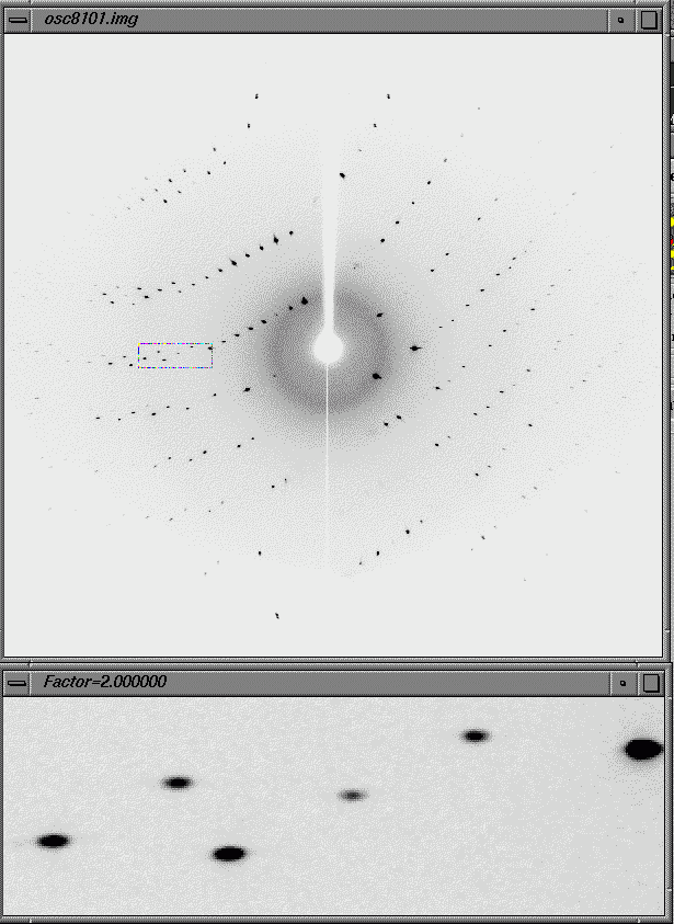 Figure 1 "graph" window